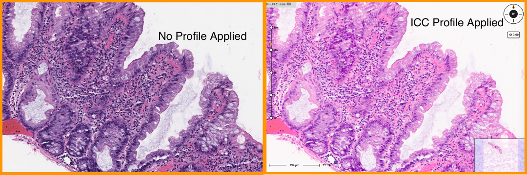 International Color Consortium: Enhancing Color Accuracy and ...