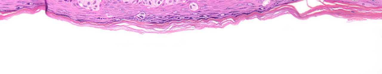 CAP Inspection Update: Telepathology and Remote Data Assessment