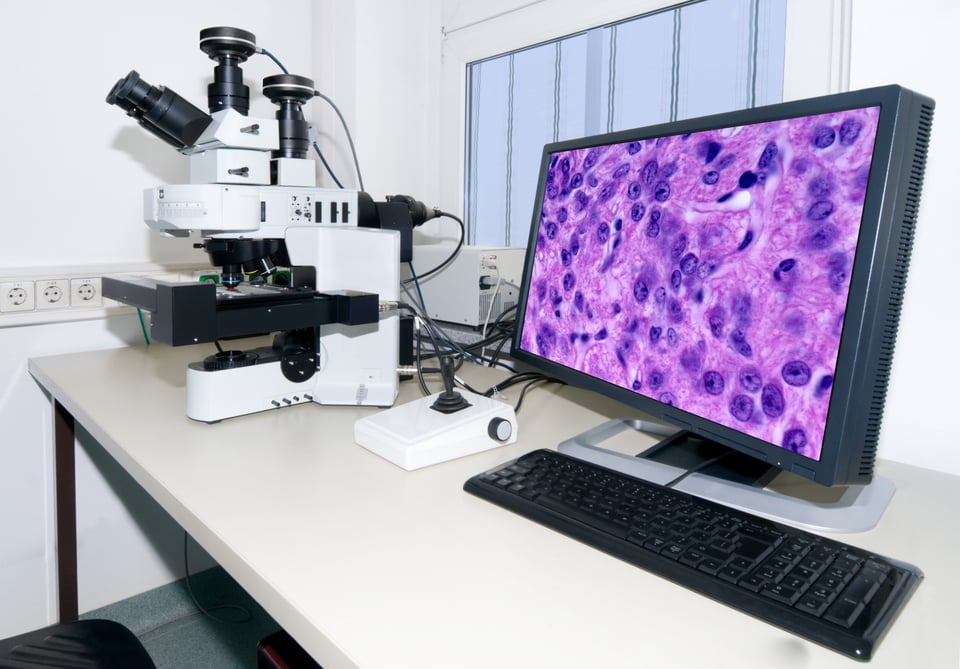 Optimize your lab’s operations with digital pathology